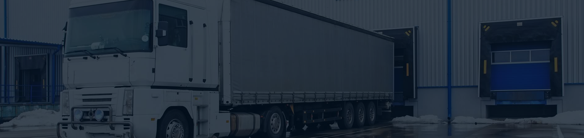 SERVICES | Viking Trailers lnternational FZCO